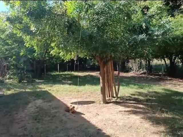 VENDO BELÍSSIMA FAZENDA COM MUITO PASTOS P/CRIAÇÃO DE GADO NAS MARGENS DO RIOSF!