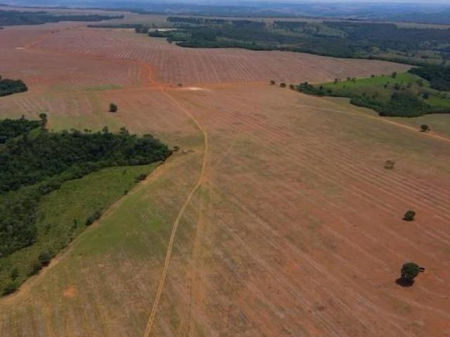VENDO BELÍSSIMA FAZENDA DE 105 HECTARES