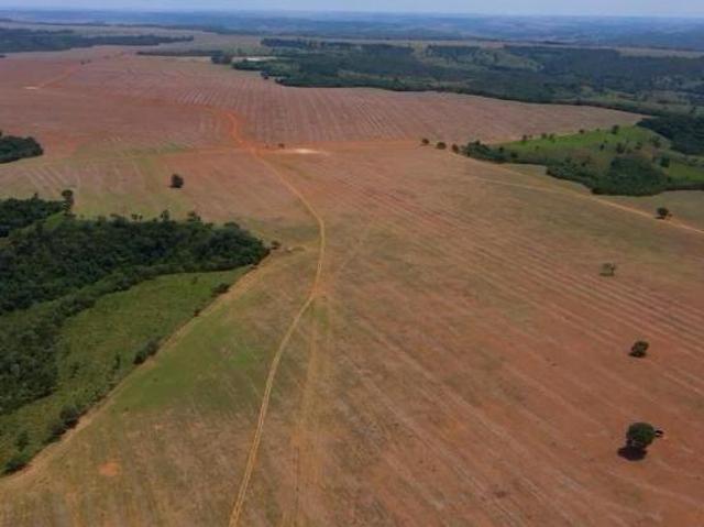 VENDO BELÍSSIMA FAZENDA DE 105 HECTARES