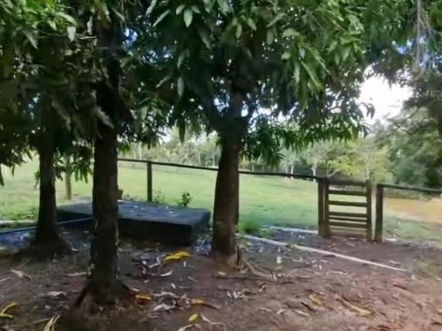 VENDO BELÍSSIMA FAZENDA EM AGUA FRIA DE GOIÁS COM 228 HECTARES AO LADO DO DF!