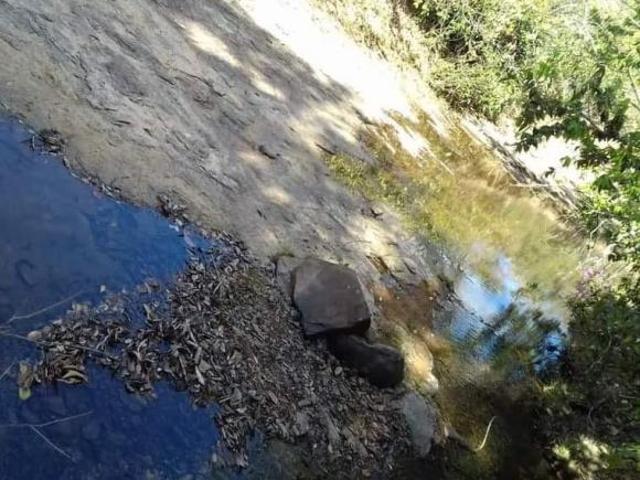 VENDO BELÍSSIMA FAZENDA EM ARINOS MG 158 HECTARES PODE SER DIVIDIDA EM PARTES!