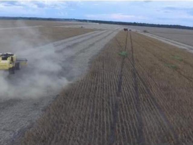 VENDO BELÍSSIMA FAZENDA EM ARUANÃ EM GOIÁS PRONTA P/ PLANTAR TUDO!