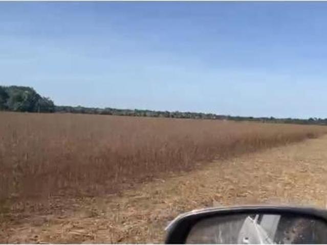 VENDO BELÍSSIMA FAZENDA EM ARUANÃ GO TERRA P/PLANTAR O QUE QUISER 3SAFRA ANUAL!