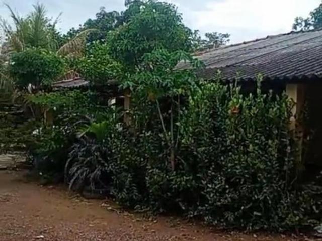 VENDO BELÍSSIMA FAZENDA EM BRASLANDIA DF COM 12 HECTARES COM CASA E CURRAL 98150 8787