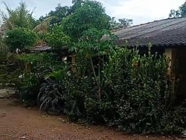 VENDO BELÍSSIMA FAZENDA EM BRASLANDIA DF COM 12 HECTARES COM CASA E CURRAL 98150 8787