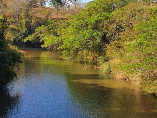 VENDO BELÍSSIMA FAZENDA EM PADRE BERNADO COM TUDO DENTRO OPORTUNIDADE R$ 2.100