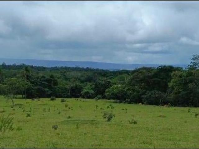 VENDO BELÍSSIMA FAZENDA ENTRE AGUA FRIA E PADRE BERNADO COM 81 HALQUERES E 388 HECTARES 6198150 8787