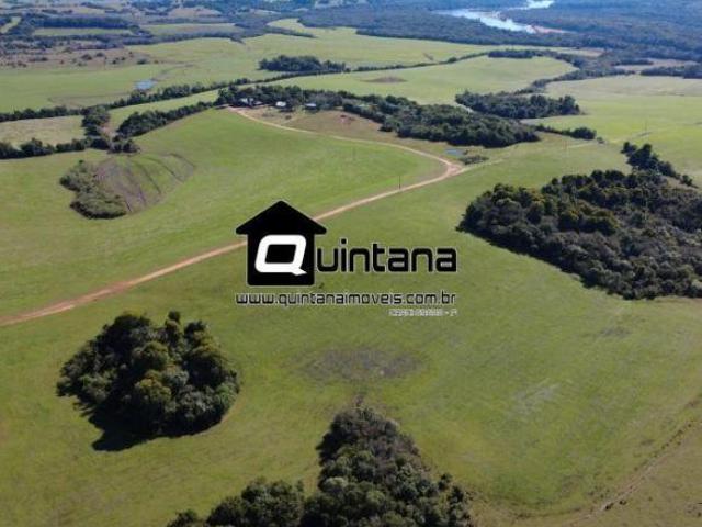 Vendo campo em Santana da Boa Vista nas margens da BR