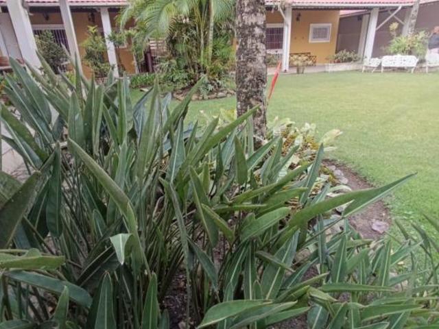 VENDO CASA DE NOVELA COM 05 DORMITORIOS A 30 METROS DO MAR EM ITANHAÉM/SP