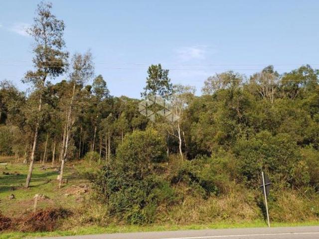 Vendo chácara com 2 casa e muitas árvores frutíferas na Parada Crístal em Caxias do Sul