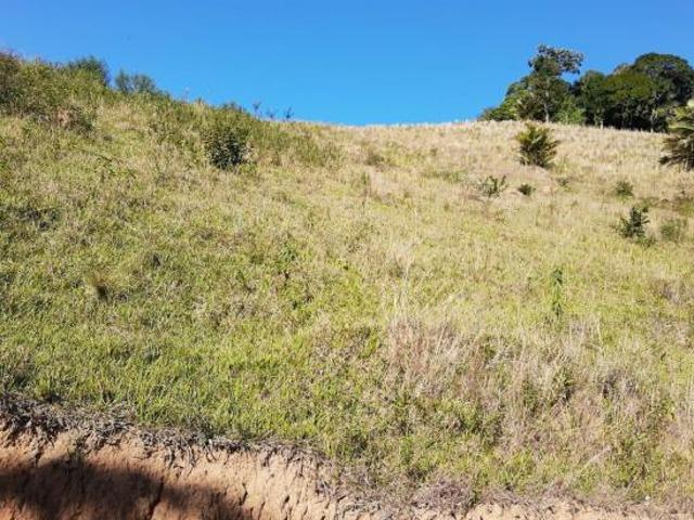 VENDO CHACARA DE 2,5 ALQ REGIÃO DE NATIVIDADE DA SERRA 4238