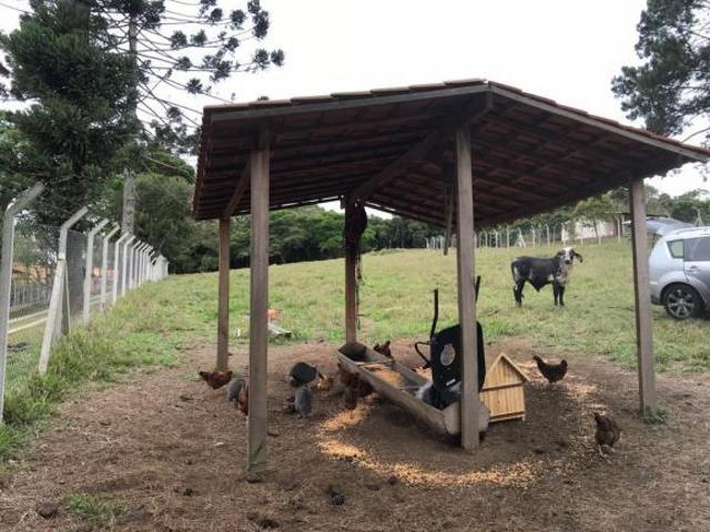 VENDO CHÁCARA DE 8.000m² EM MAIRINQUE ACEITA FINANCIAMENTO BANCARIO 4284