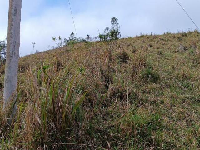VENDO CHACARA TRES ALQUEIRES MARGEM REPRESA EM NATIVIDADE DA SERRA 4285