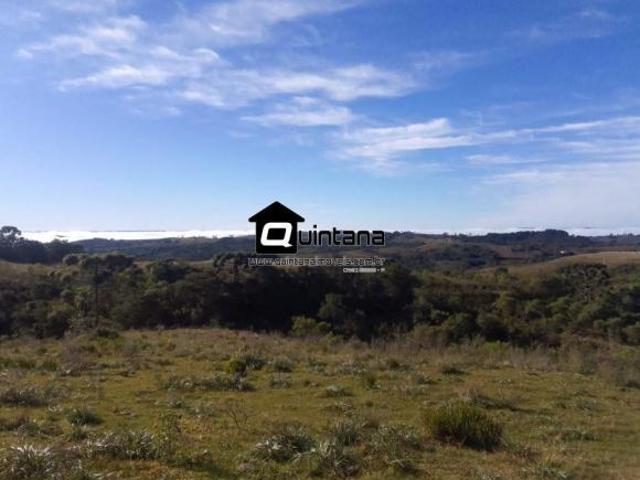 Vendo dítio de 41hectares em Santana da Boa Vista