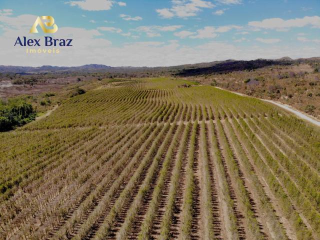 VENDO EXCELENTE FAZENDA, PRODUTORA DE CAFÉ E REFERÊNCIA NO DF