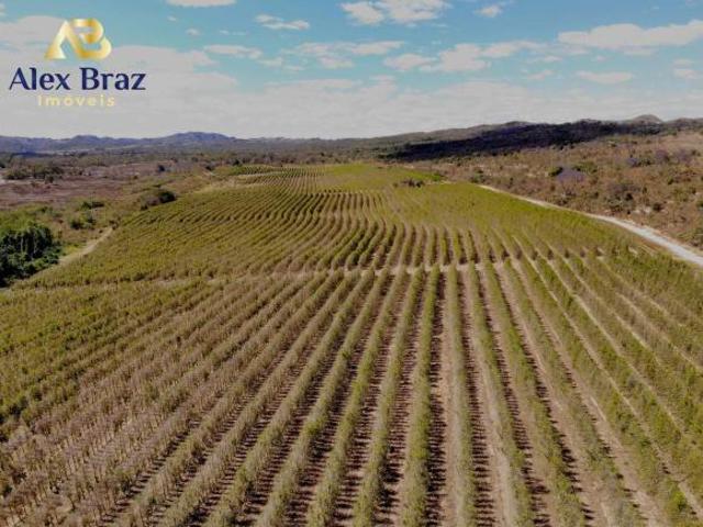 VENDO EXCELENTE FAZENDA, PRODUTORA DE CAFÉ E REFERÊNCIA NO DF