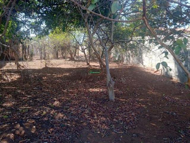 VENDO EXCELENTE LOTE EM AVENIDA NO QUINTAS DE VARGINHA EM 7L MG