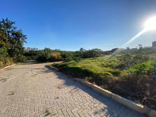 VENDO EXCELENTE LOTE NA VICENTE PIRES COM 300m2 AC CARRO E PROPOSTA! 98150 8787