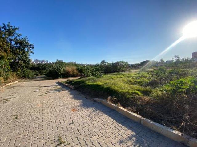 VENDO EXCELENTE LOTE NA VICENTE PIRES COM 300m2 AC CARRO E PROPOSTA! 98150 8787