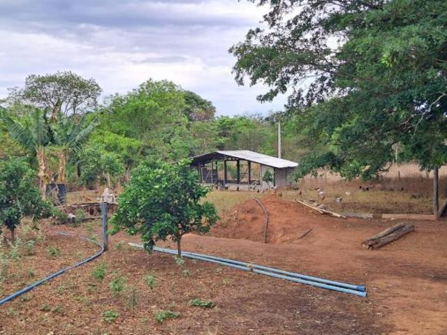 Vendo Excelente Propriedade Planaltina de Goiás 13.5Ha 450.000