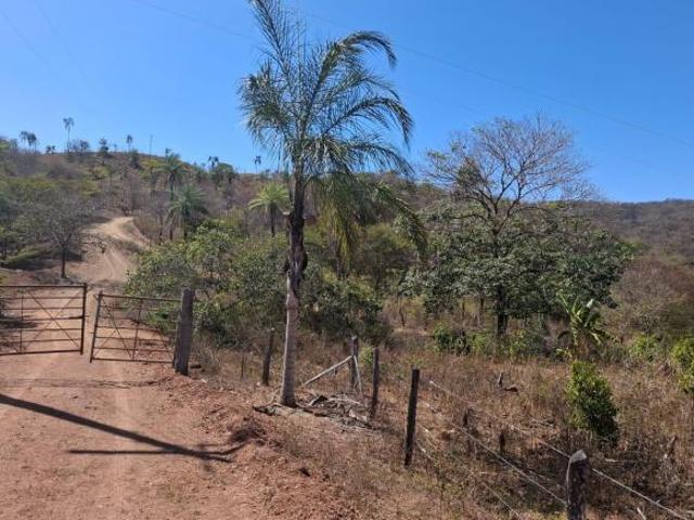 VENDO EXCELENTE TERRA LUGAR MARAVILHOSO!