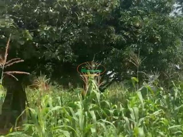 VENDO EXCELENTE TERRENO/CHÁCARA NO GOIABEIRAS, ÁREA RURAL Á 5KM DE SETE LAGOAS MG
