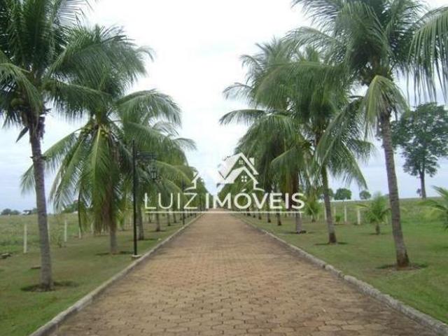 VENDO FAZENDA MODELO AGRO 438ALQUEIRES MUNDO NOVO GO