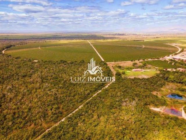 Vendo Fazenda Café 1.216Hectares Norte De Minas