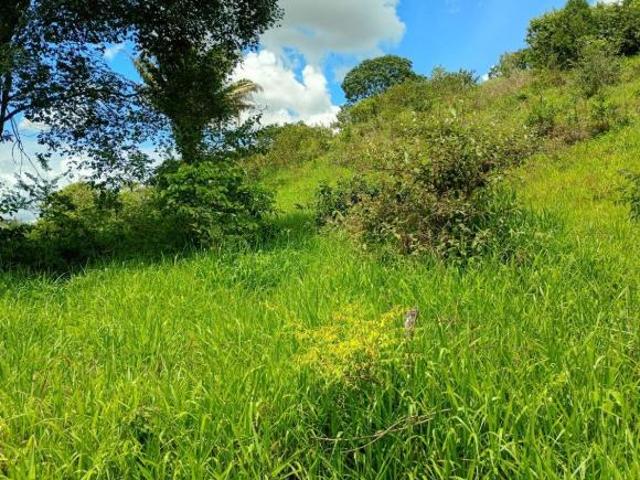 vendo Fazenda Cocalzinho de Goiás