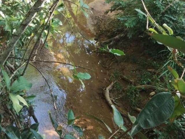 VENDO FAZENDA COM 35 HECTARES TODA FORMADA TODA CERCADA!