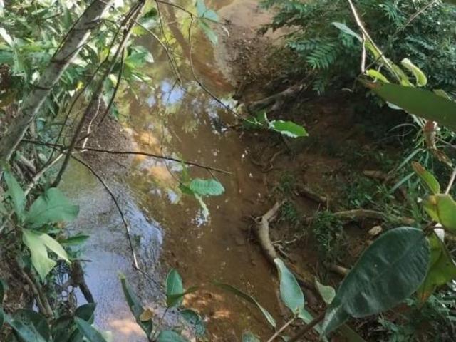VENDO FAZENDA COM 35 HECTARES TODA FORMADA TODA CERCADA!