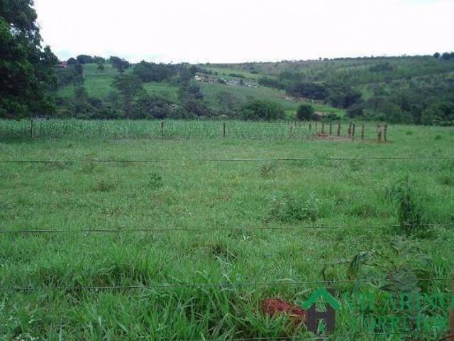 VENDO FAZENDA COM PORTEIRA FECHADA