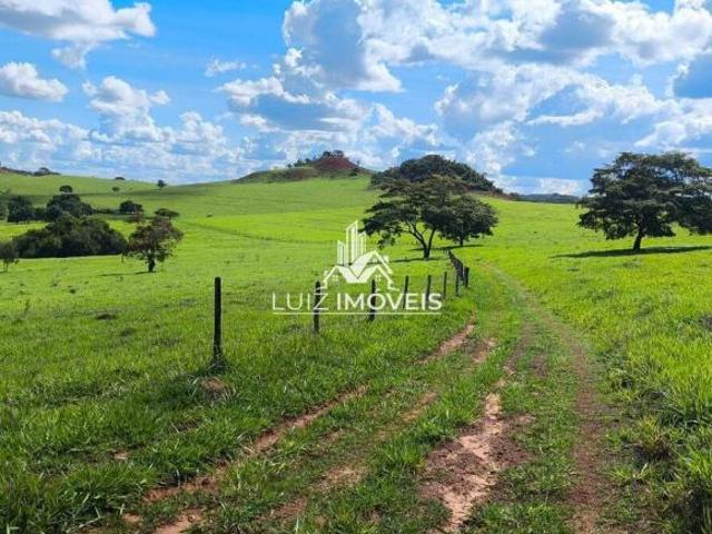 Vendo Fazenda Dupla Aptidão 247hectares Patos de Minas MG