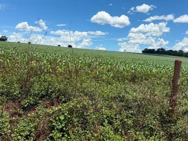 vendo fazenda de 22 alqueires em goianapolis goias