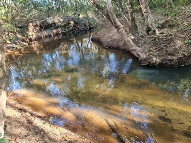 VENDO FAZENDA DE 337 HECTARES EM SÃO JOÃO DA ALIANÇA PLANTANDO !