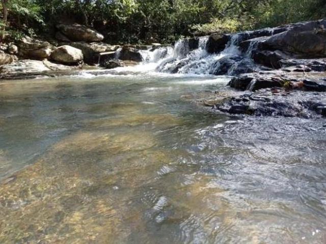 Vendo Fazenda de 46 Hectares em Buritis MG