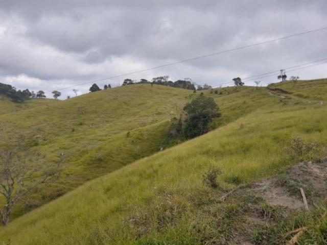 VENDO FAZENDA DE 74 ALQUEIRES / PECUARIA REGIAO DE NATIVIDADE DA SERRA 4234