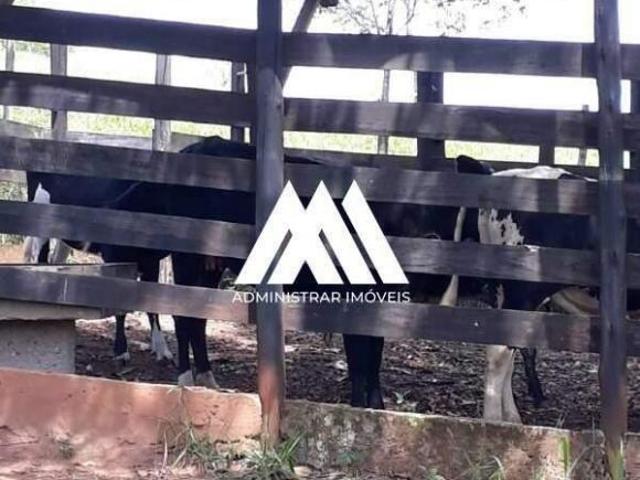 Vendo fazenda em Itaguara com 6 hectares e rica em água!