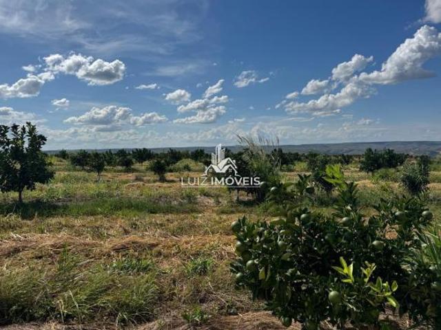 VENDO FAZENDA LARANJA 240HECTARES EM BIQUINHAS MG