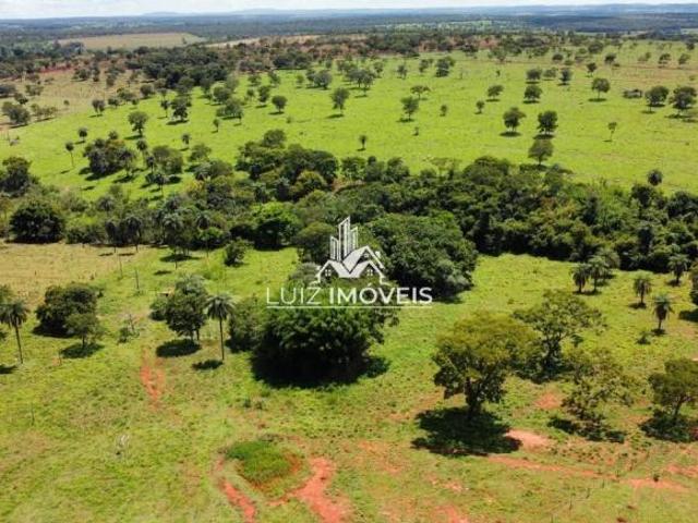 VENDO FAZENDA PECUÁRIA 389,3HECTARES EM BIQUINHAS MG