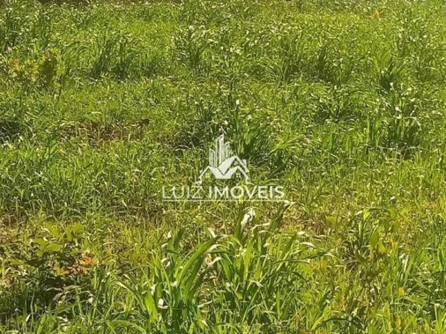 VENDO FAZENDA PECUÁRIA 391HECTARES JOÃO PINHEIRO MG