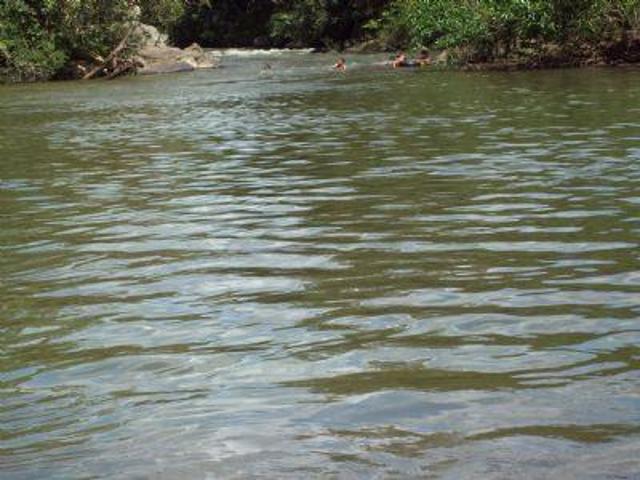 VENDO FAZENDA REGIAO DE CALDAS NOVAS 6206