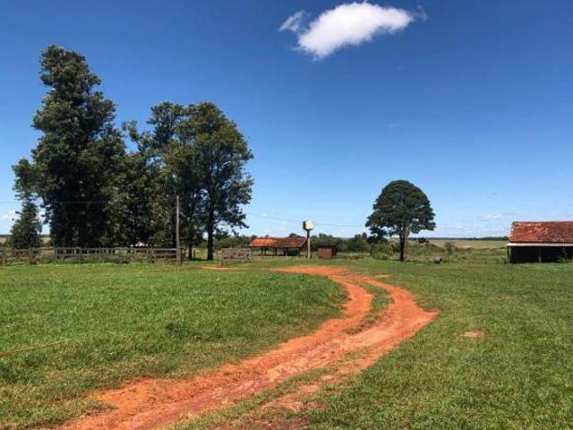 VENDO FAZENDA 1100 HECTARES REGIAO DE DOURADOS 6242