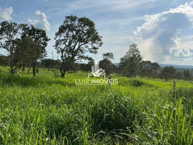 Vendo Fazenda 1100hectares em Brasilandia de Minas MG