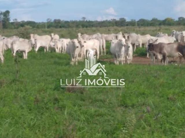 Vendo Fazenda 5400hectares BURITIZEIRO MG