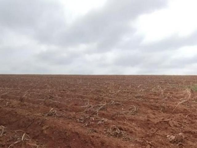 VENDO FAZENDA 595 HECTARES PARA CULTURA REGIAO DE ARAXA 6201