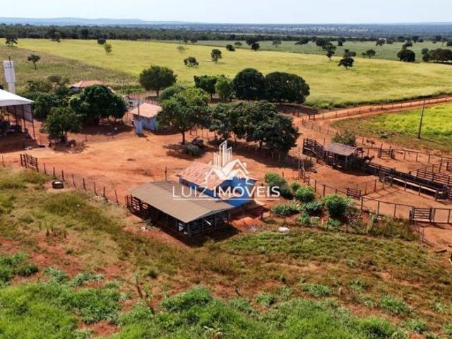 Vendo Fazenda 530hectares João Pinheiro MG