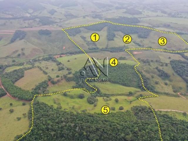 VENDO FAZENDA – 61 há a apenas 4 km de QUELUZITO/MG
