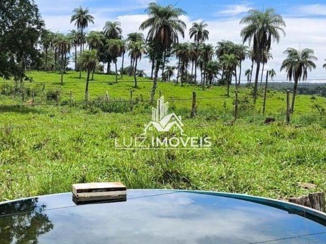 Vendo Fazenda 980hectares Dupla Aptidão em Patos de Minas MG