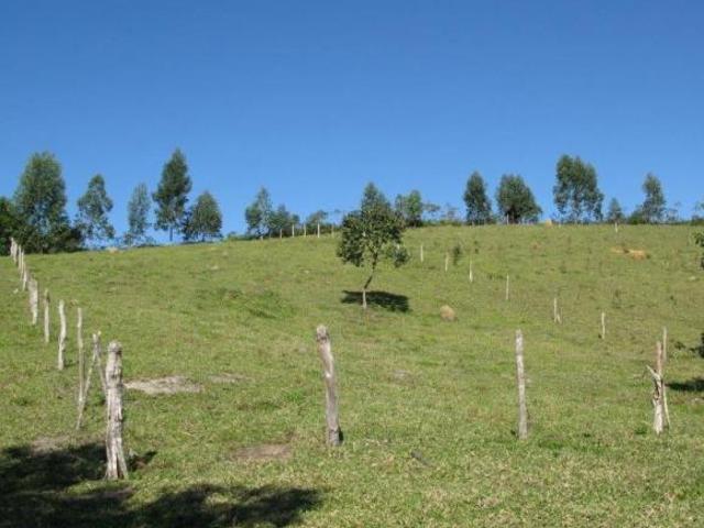 VENDO FAZENDA 90 HECTARES EM NATIVIDADE DA SERRA 4160